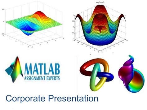 matlab assignment experts ppt