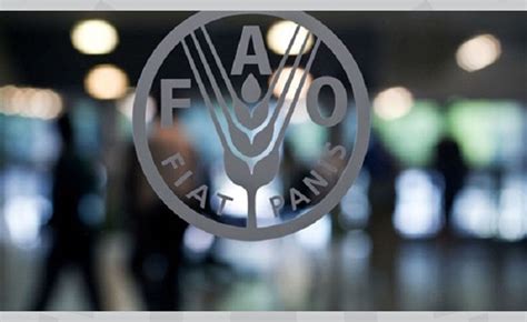 انخفاض أسعار الغذاء العالمية للشهر الثاني عشر على التوالي في مارس