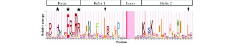Sequence Logo Of The Bhlh Domain The Profile Is Based On The