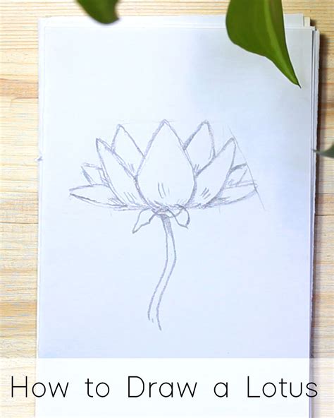 How To Draw Flowers Step By Step Tutorials For Beginners JeyRam Drawing Tutorials