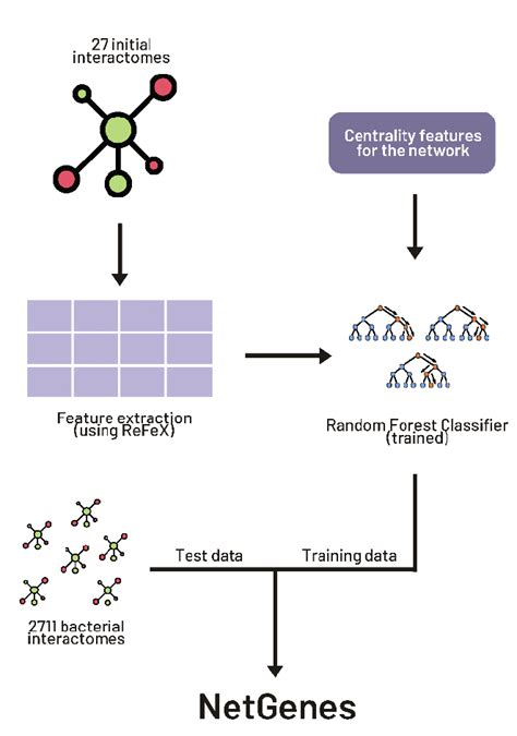 Workflow For Creating Netgenes Database The Initial 27 Interactomes