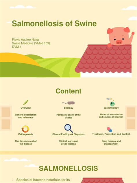 Salmonellosis Pdf Infection Biology