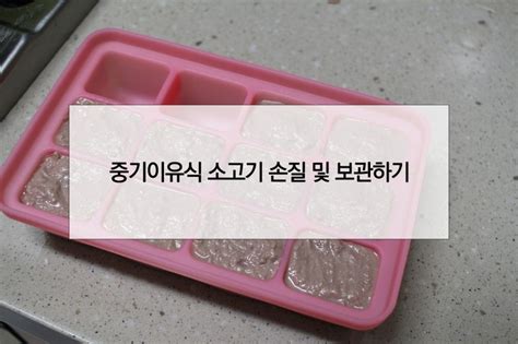 중기이유식 소고기 보관법 소고기 이유식큐브 만들기 네이버 블로그