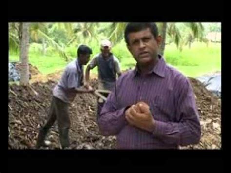 Steps In Compost Production YouTube