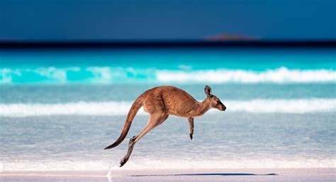 Australian Beaches Names