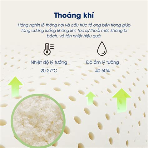 Nệm Cao Su Thiên Nhiên Nin House Thông Thoáng 7 Vùng 160x200x Cao 10cm