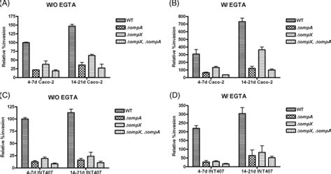 Outer Membrane Proteins A Ompa And X Ompx Are Essential For