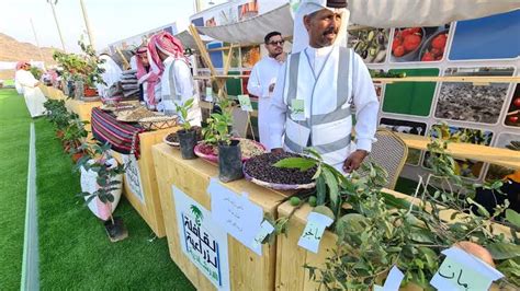 انطلاق القافلة الزراعية الإرشادية في محايلعسير الديرة نيوز