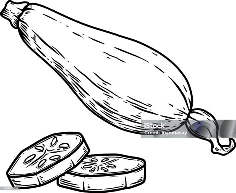 雕刻風格的壁球插圖海報卡片橫幅標誌的設計項目向量插圖向量圖形及更多一個物體圖片 一個物體 健康飲食 南瓜 Istock