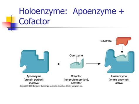 What Types Of Bonds Are Shown Here Ppt Download