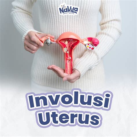 Proses Involusi Uterus Setelah Melahirkan Dan Tanda Normal Pemulihan Rahim