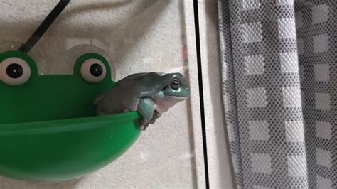 押すなよ絶対に押すなよ