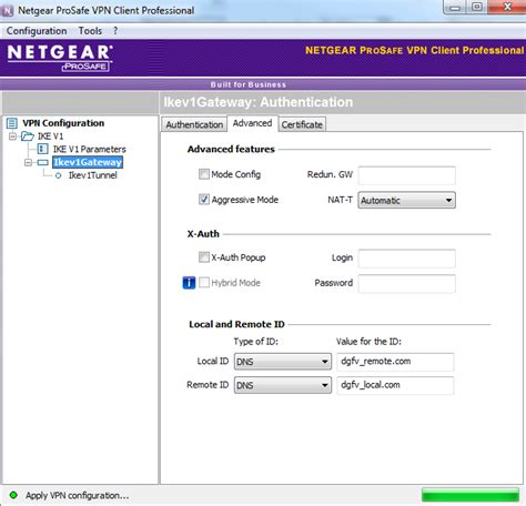prosafe vpn client client to box configuration netgear support