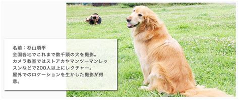 CSS要素の重なり順を指定するz indexの使い方 じゅんぺいブログ