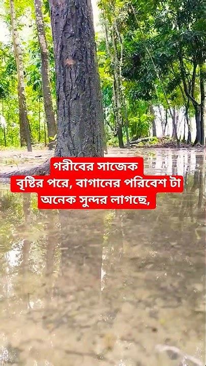 গরিবের সাজেকপরিবেশ টা অনেক সুন্দর লাগছে। ভাইরাল Vairalshort