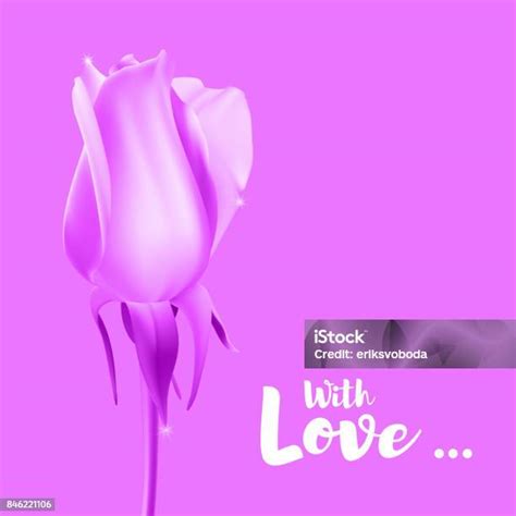 현실적인 장미 새싹은 줄기와 나뭇잎 핑크 흑백 엽서 클로즈업의 장미 꽃 봉 오리 낭만 사랑 인사말 카드 3 차원 일러스트 레이 션에 대 한 서식 파일의 기호 0명에 대한