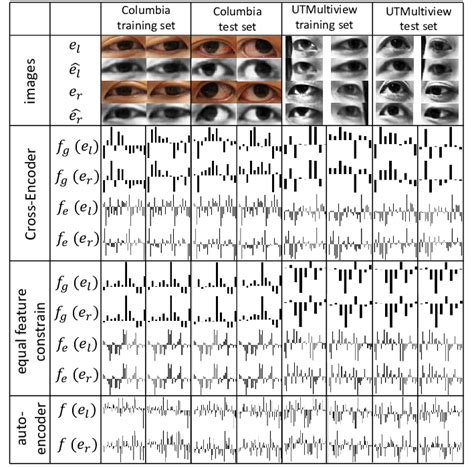 examples of eye images from different datasets and their eye feature