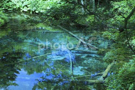 北海道清里町 神の子池 No 3099309写真素材なら写真AC無料フリーダウンロードOK