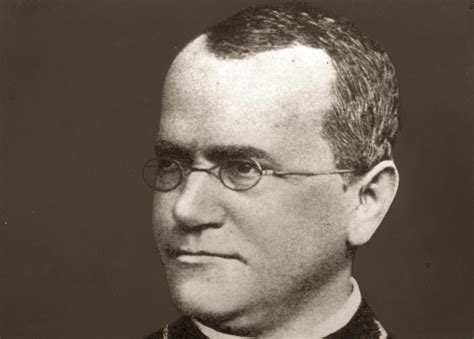Gregor Mendel Tra Scienza Fede Edizioni Ares