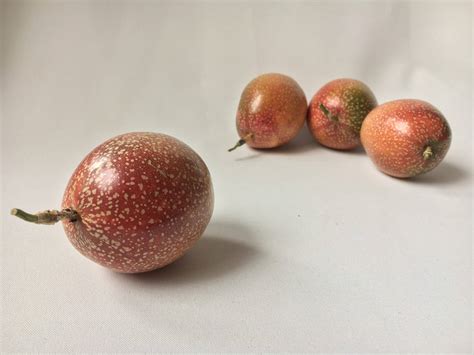 埔里大坪頂蜜糖百香果 滿天星 集益果