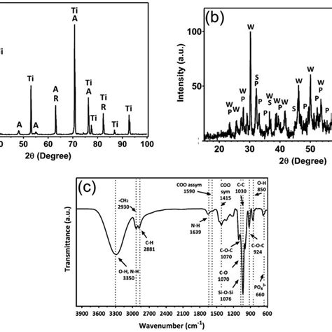 Characterization Of Anodized Titanium Samples Sem Image Of Anodized