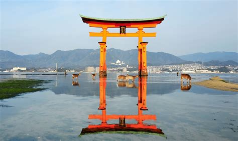【広島】週末に行きたい！家族で宮島プチ旅行！おすすめスポット3選｜広島の健康・子育て情報｜ファミリードクター