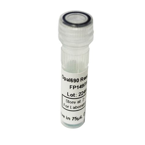 Fluorescence In Situ Hybridization