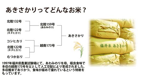 【一時販売休止】あきさかり 白米 10kg5kg×2 福井県産 令和5年産｜福井県産あきさかり ｜最短即日発送、全国送料無料！福井県産米