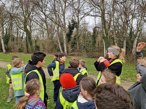 Bovenbouw B Speelt Chinese Spelletjes In Het Park Montessori Duffel
