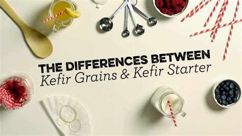 Buy Kefir Grains Milk Kefirbiz