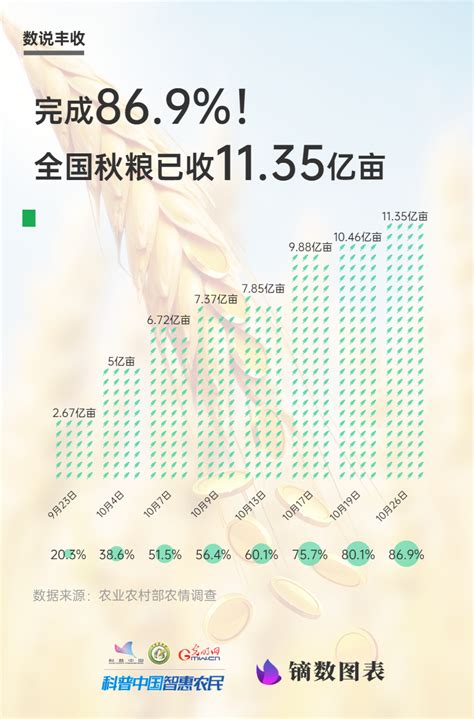 图文详情