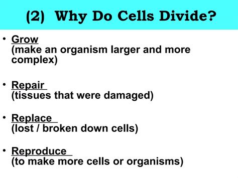 Biology Unit 4 Cell Division Cell Division Basics And The Cell Cycle