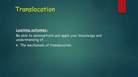 Ocr A Level Biology H020 Module 3 Plant Transport Translocation