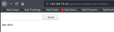 Vulnhub Nullbyte Spanky S Blog Security Dude