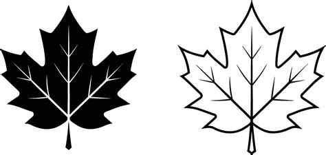 Maple Leaf Design Black And White Illustration 52086521 Vector Art At Vecteezy