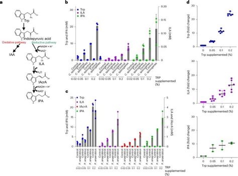 Dietary Fibre Directs Microbial Tryptophan Metabolism Via Metabolic