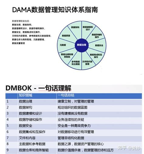 dama数据管理知识体系指南 知乎