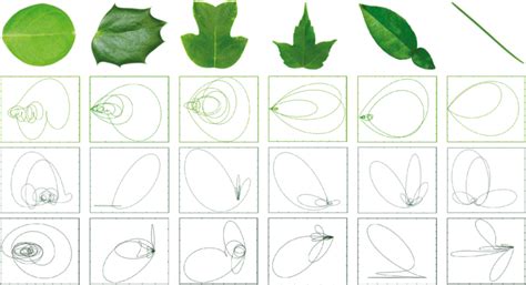 Plots 6 Leaves And Their Euclidean Row 2 Similarity Row 2 And