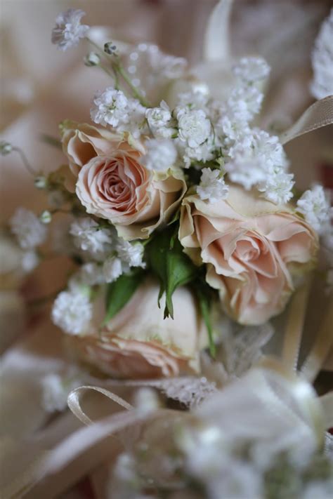 Imagem Gratuita Buquê Rosas Casamento Buquê De Casamento Flor