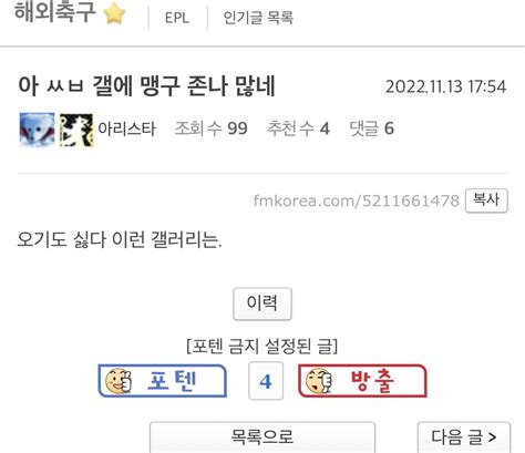 우리집 강아지가 집 나가서 4일째 돌아오지 않고 있습니다 해외축구 에펨코리아