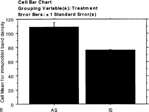AB A Immunoblot Analysis Of Gs And Runx2 Cbfa1 Proteins Shows An