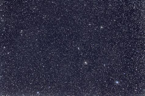 Fotografický Občasník Lev