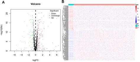Differentially Expressed RBPs In HNSCC And Non Tumour Samples The