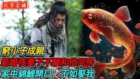 窮小子成親，新婚夜妻子不願和他同房，家中錦鯉開口：不如娶我 民間故事 故事當舖 Youtube