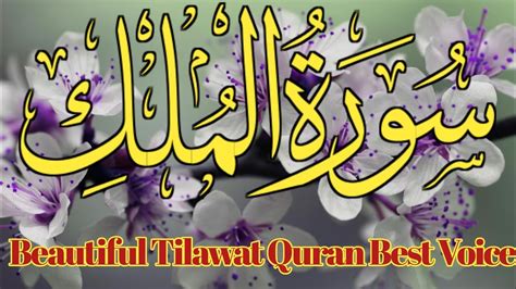 Beautiful Tilawat Quran Best Voice Surah Mulk Tilawat Quran Morning