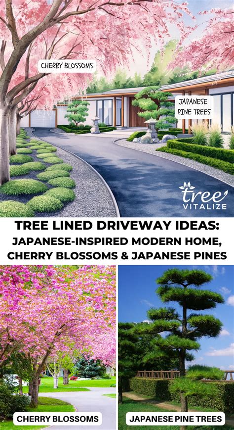 Eye Catching Tree Lined Driveway Ideas For Front Yard Landscaping