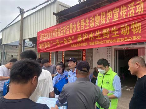 惠安县办事处开展水生野生动物保护宣传月暨渔业互保政策宣传活动 福建省渔业互保协会
