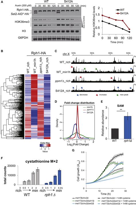 Demethylation Of The Protein Phosphatase Pp2a Promotes Demethylation Of