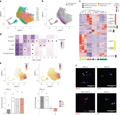 Angela Jeong On Linkedin Exposure Of Ipsc Derived Human Microglia To