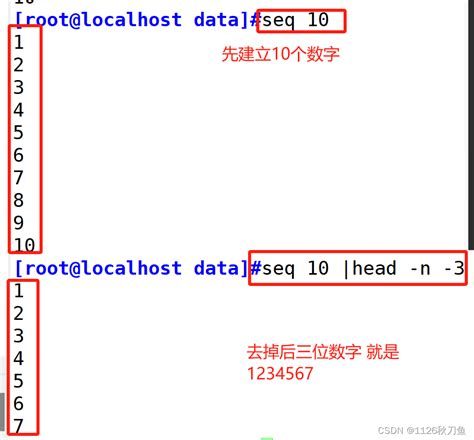 linux中命令的格式以及解析 linux 命令输出结果空几格输出 csdn博客